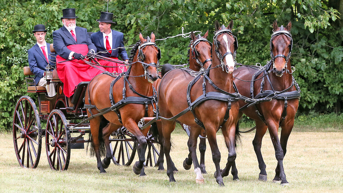Carriage Driving Days - Wade House